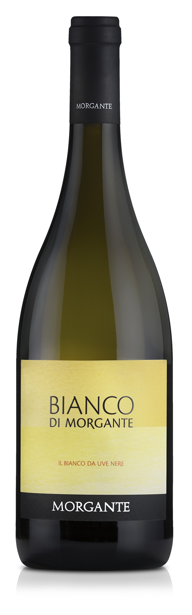 Home - Morgante Vini