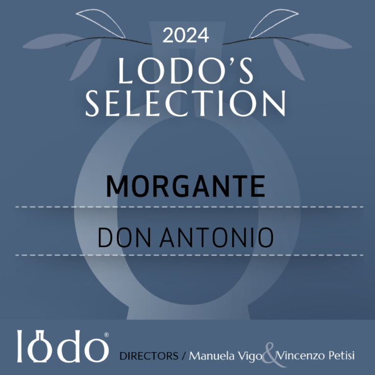 LODO'S SELECTION 2024 - MORGANTE